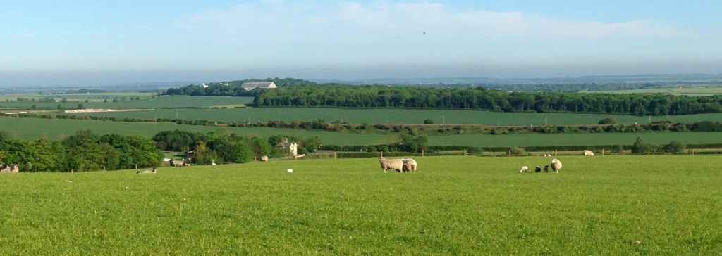 Farming in Hertfordshire, Cambridgshire and Essex Borders | Law Farming