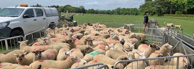 Farming in Hertfordshire, Cambridgshire and Essex Borders | Law Farming